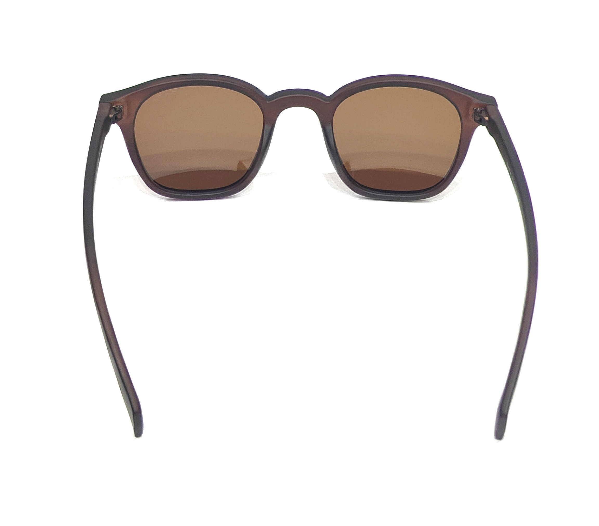 RAFA SUNGLASSES – opticalwala